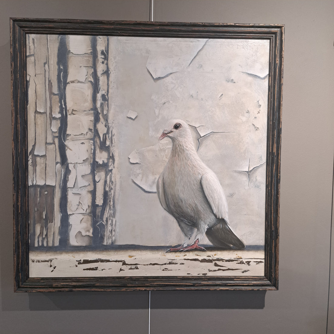 Sarah Williams - Dove oil painting – The Gallery Malton